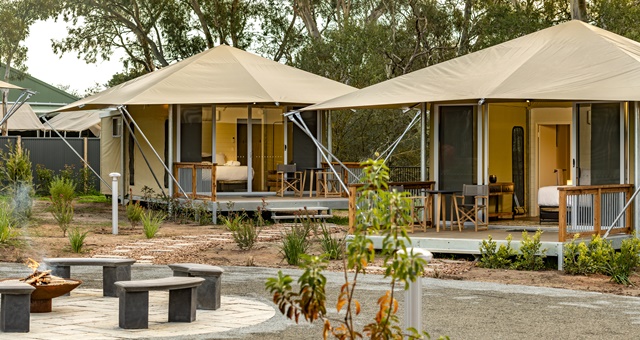 Discovery Parks Barossa opens ‘glamping’ safari experience - Hotel ...